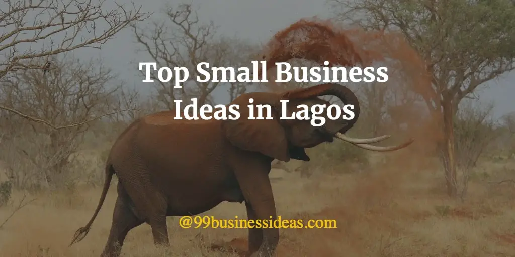 Best 25 Small Business Ideas In Lagos In 2024 99BusinessIdeas best-25-small-business-ideas-in-lagos-in-2024-99businessideas